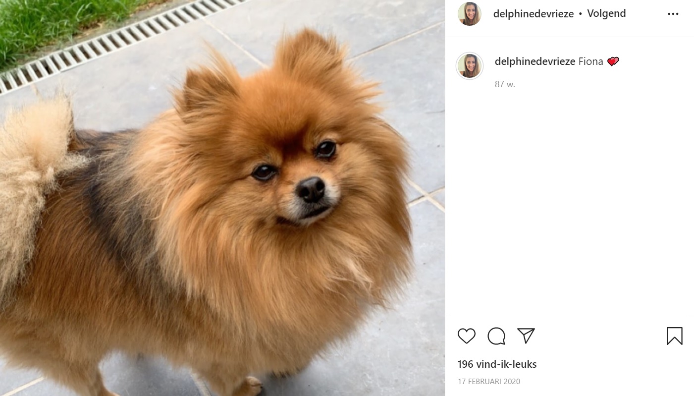 Uitkomst soap rondom Fiona, het hondje van Bert en Delphine, bekend ...