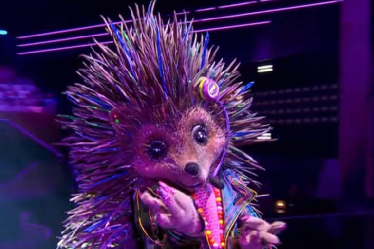 Kijkers weten het eindelijk zeker: "Déze BN'er is De Egel in The Masked ...