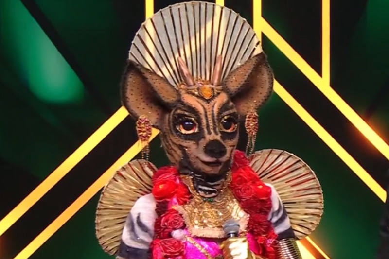 Onthulling! Deze BN’er is de Okapi in The Masked Singer - Love & Reality